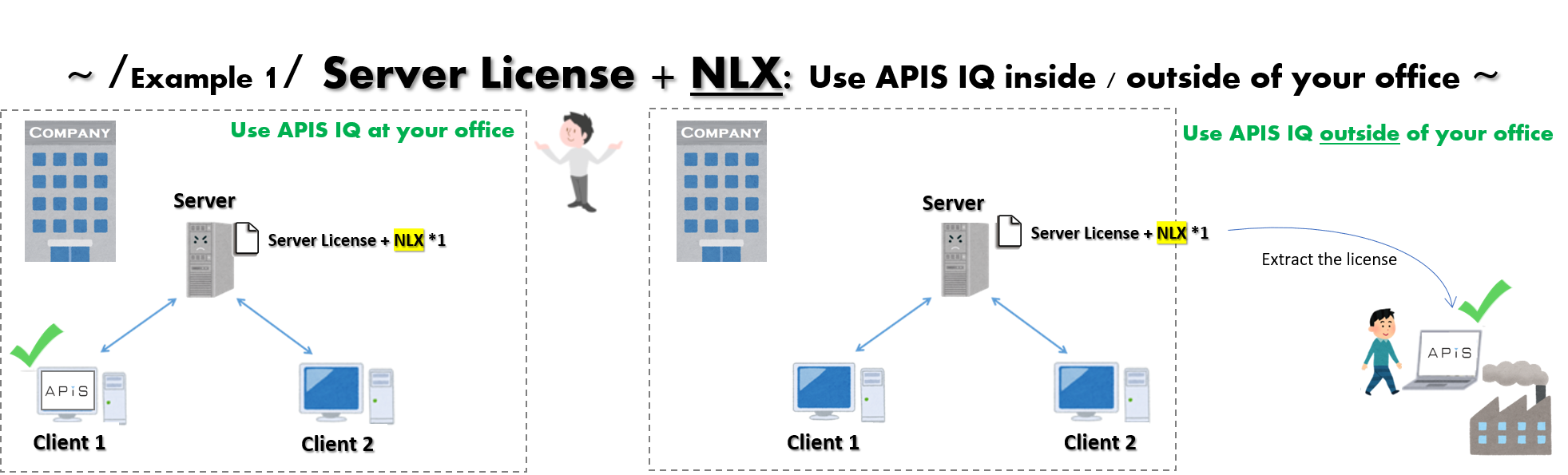 NETWORK license (Server license) + NLX for the better use of APIS IQ | NSS Blog