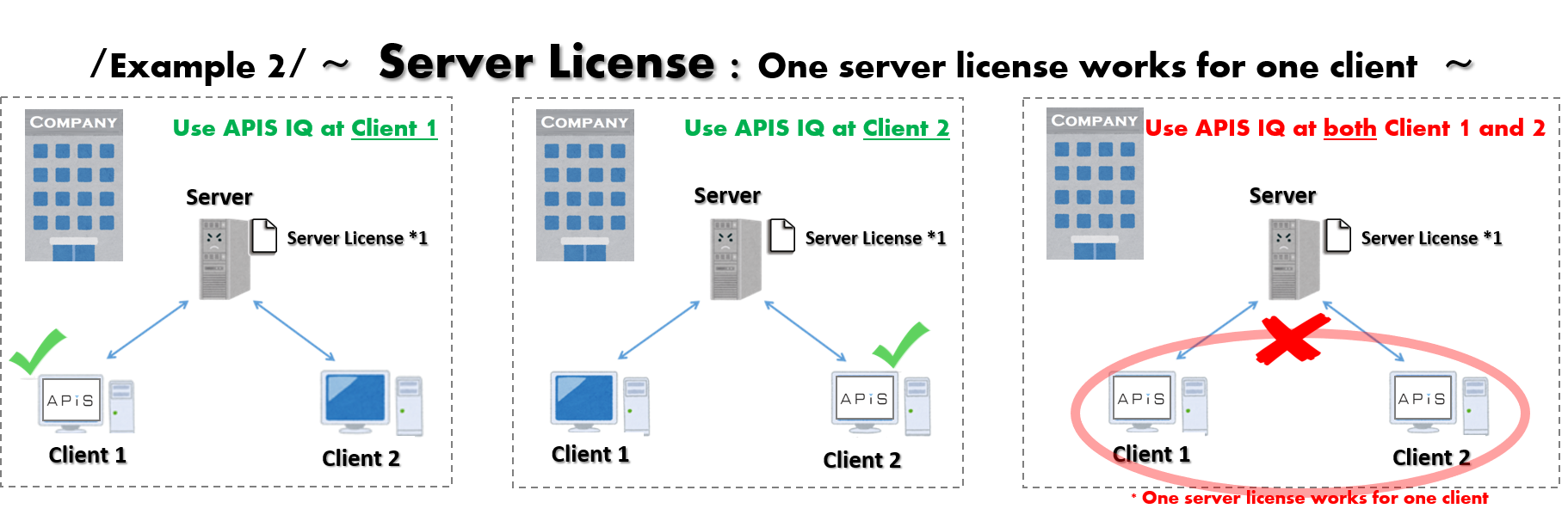 NETWORK license (Server license) + NLX for the better use of APIS IQ ...